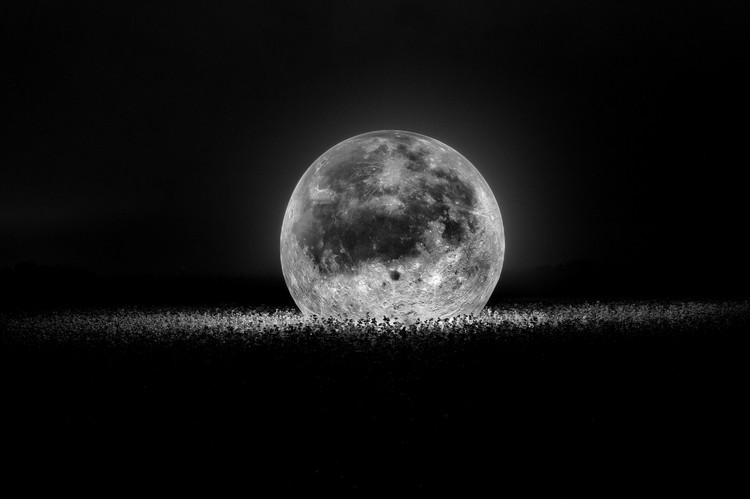 reFocus Awards | Brandon Ralph | Honorable Mention (Abstract)