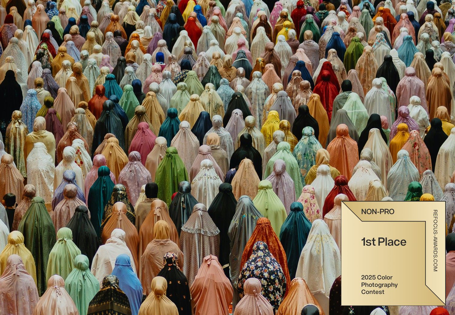 reFocus Awards | Mohammed Alim | 2025 Color Photo Contest | 1st Place ...