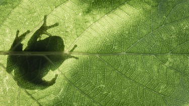 reFocus Awards | Darren Gentle | Nominee (Nature)