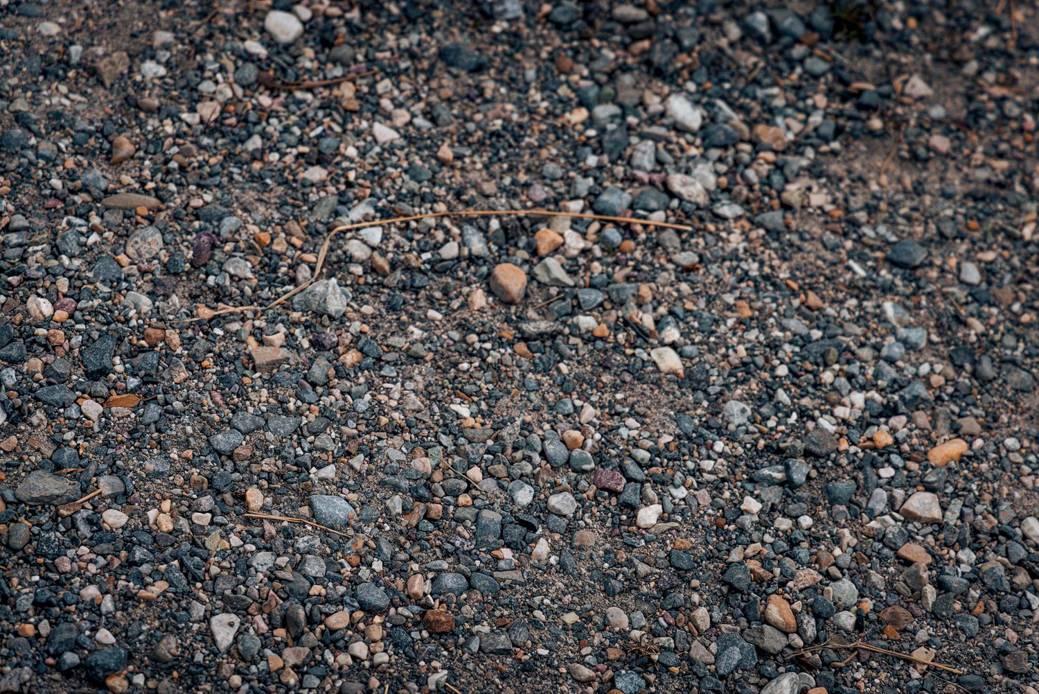reFocus Awards | Benjamin Gibson | Nominee (Photojournalism)