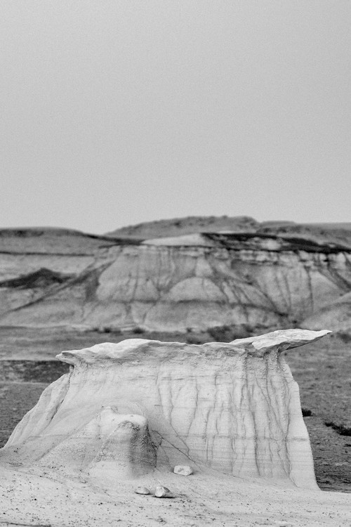 reFocus Awards | Lottie Lawrence | Nominee (Nature)