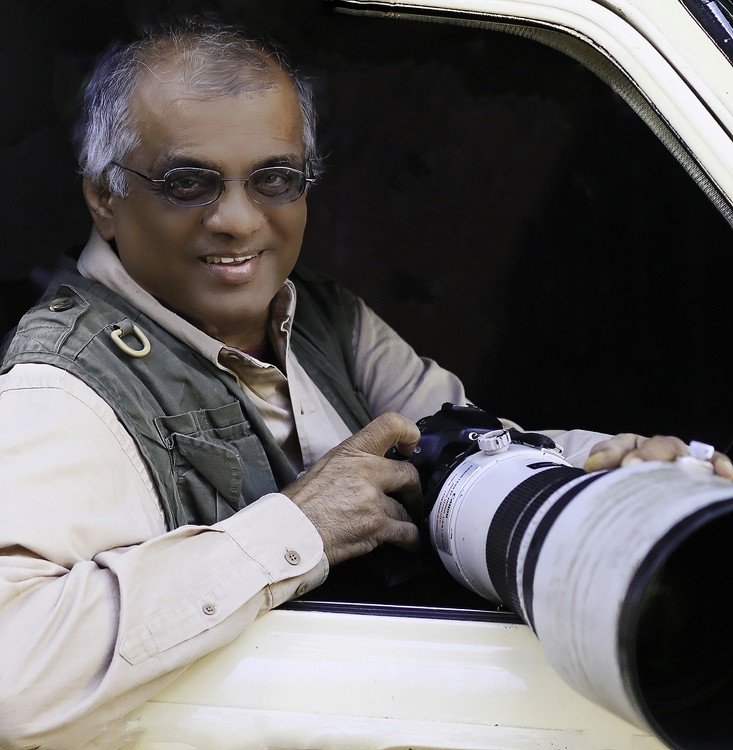 reFocus Awards | Marcello Galleano | Nominee (Wildlife)