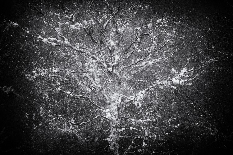 reFocus Awards | Don Hooper | Honorable Mention (Fine Art)