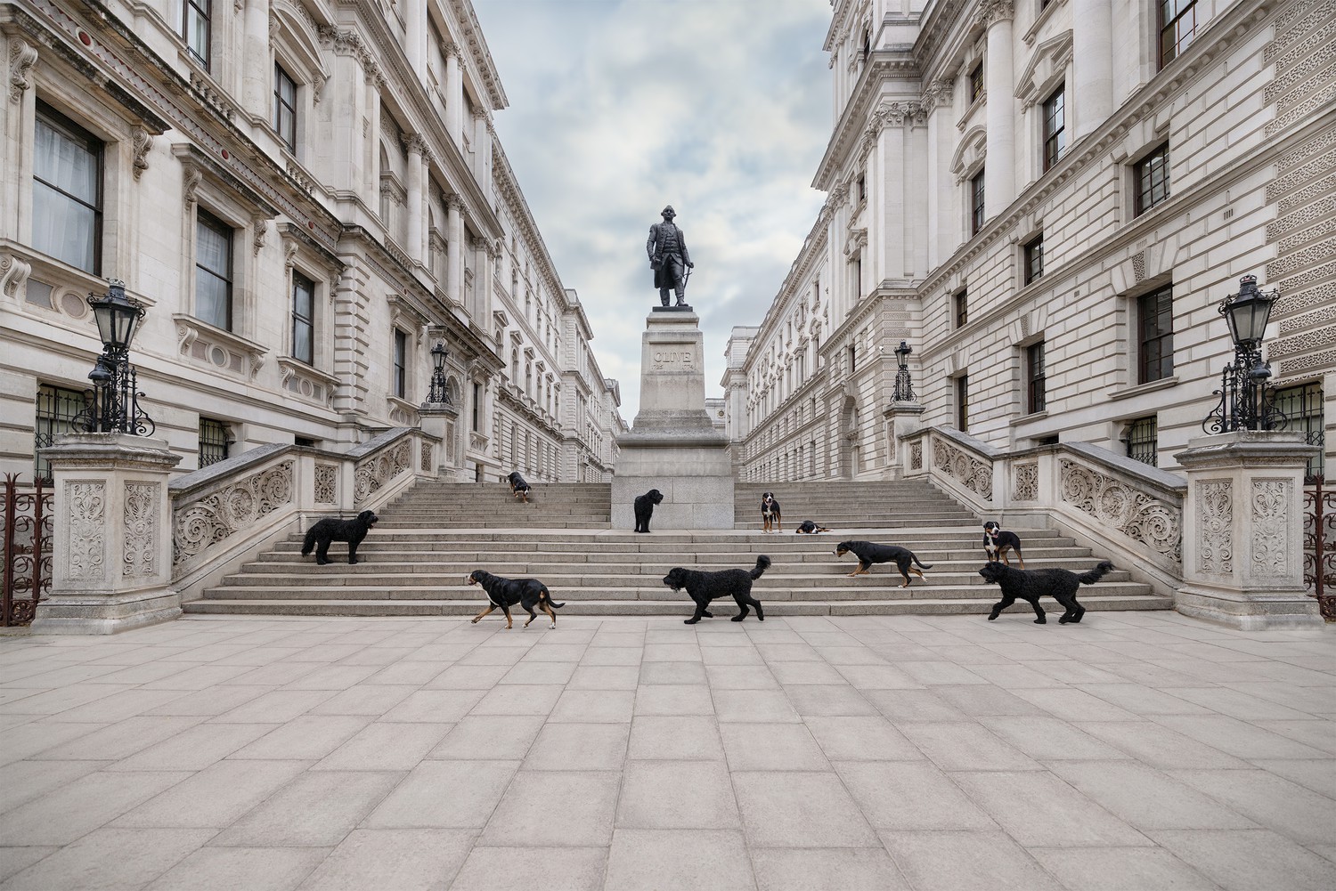reFocus Awards | Andrew Raven Richardson | Nominee (Domestic Animals)