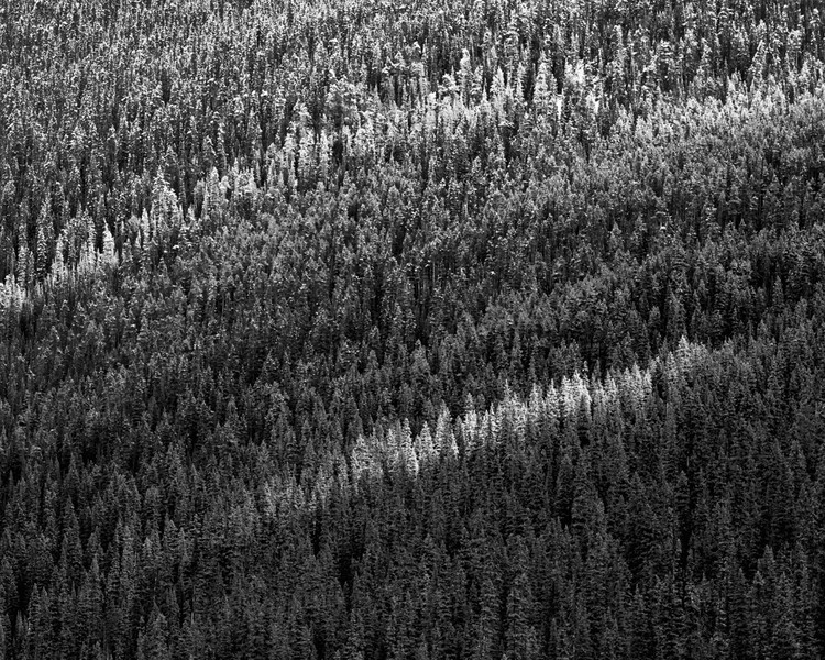 reFocus Awards | Lee Nordbye | Nominee (Fine Art)