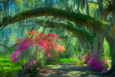 reFocus Awards | Markus Schroll | Nominee (Fine Art)