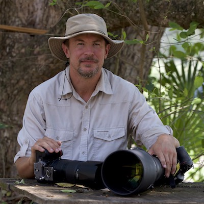 reFocus Awards | Willems Johan | Honorable Mention (Wildlife)