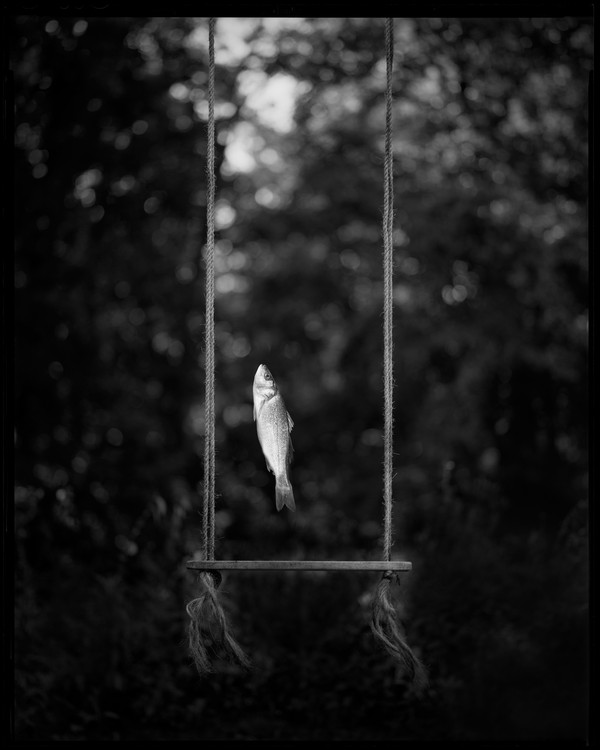 reFocus Awards | Joshua Yehenara | Nominee (Conceptual)