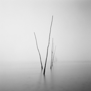 reFocus Awards | Artist Profile: David Rathbone