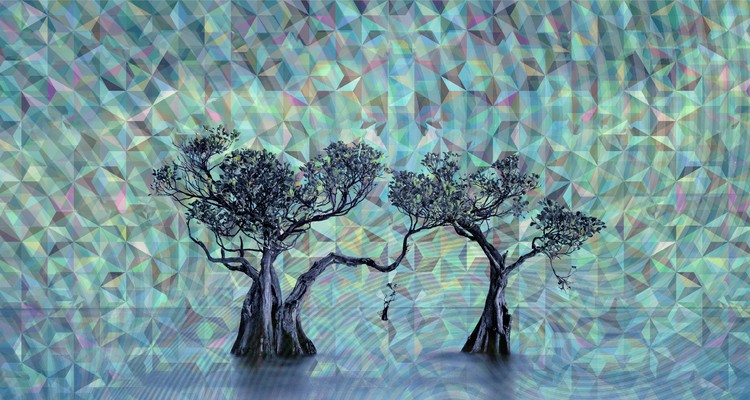 reFocus Awards | SUKEUN KIM | Nominee (Fine Art)