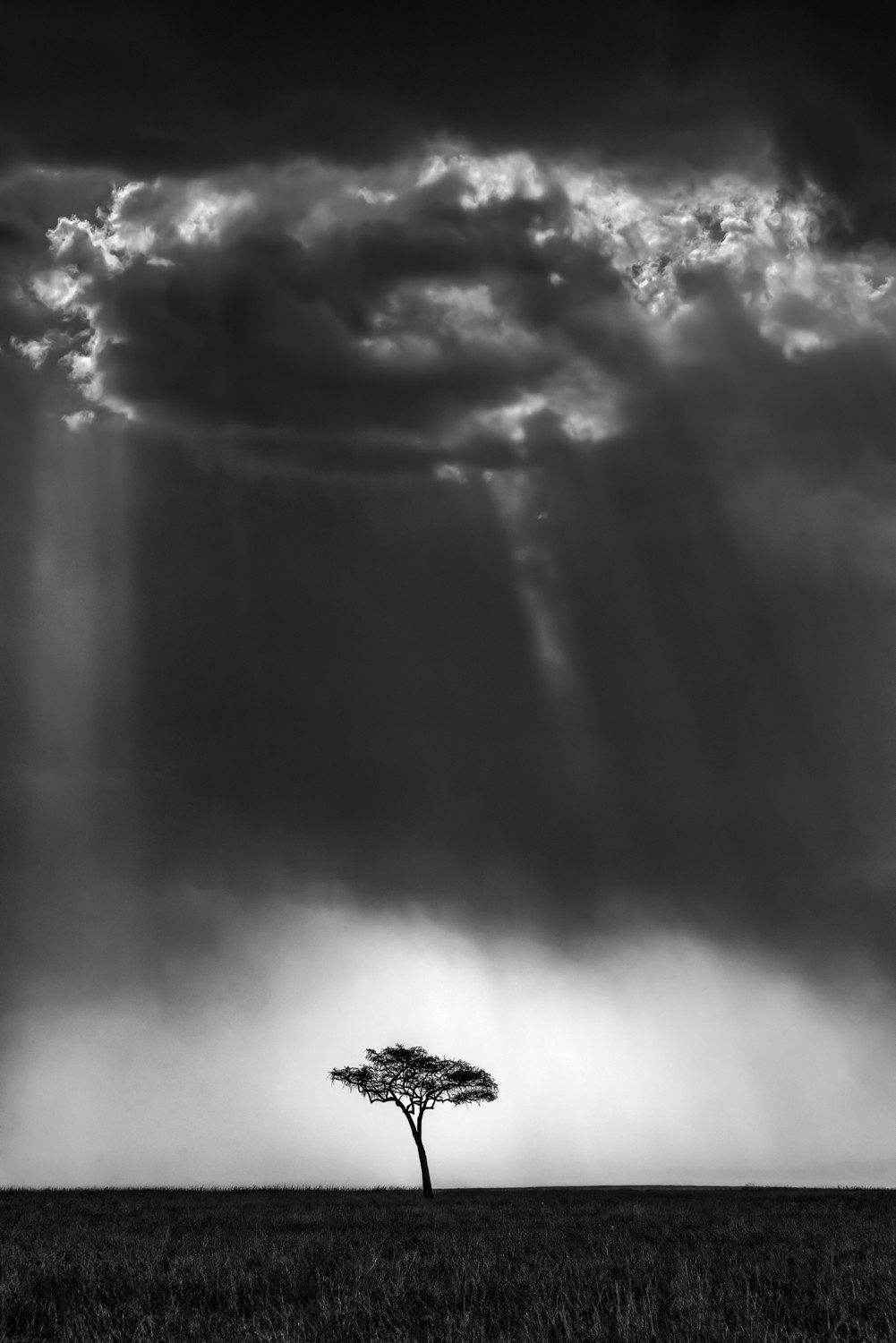 reFocus Awards | Preeti & Prashant Chacko | Nominee (Nature)